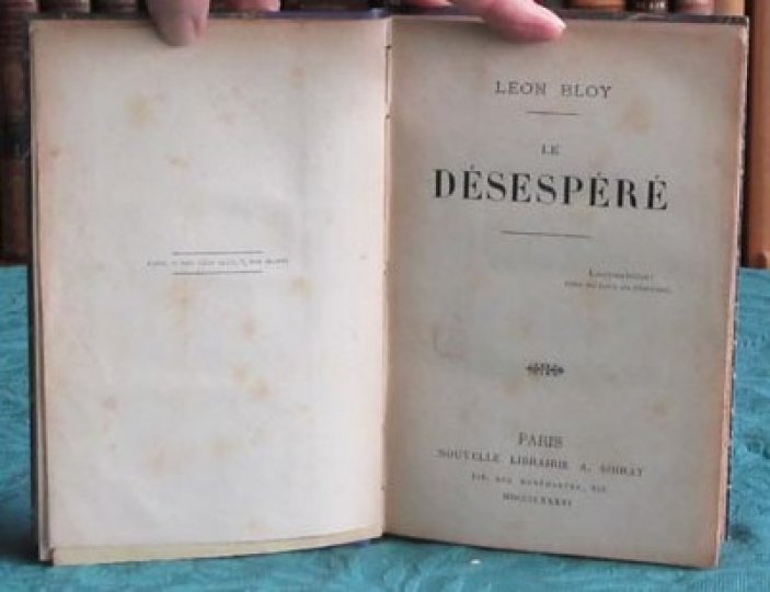 Le Désespéré. – Livres et collections